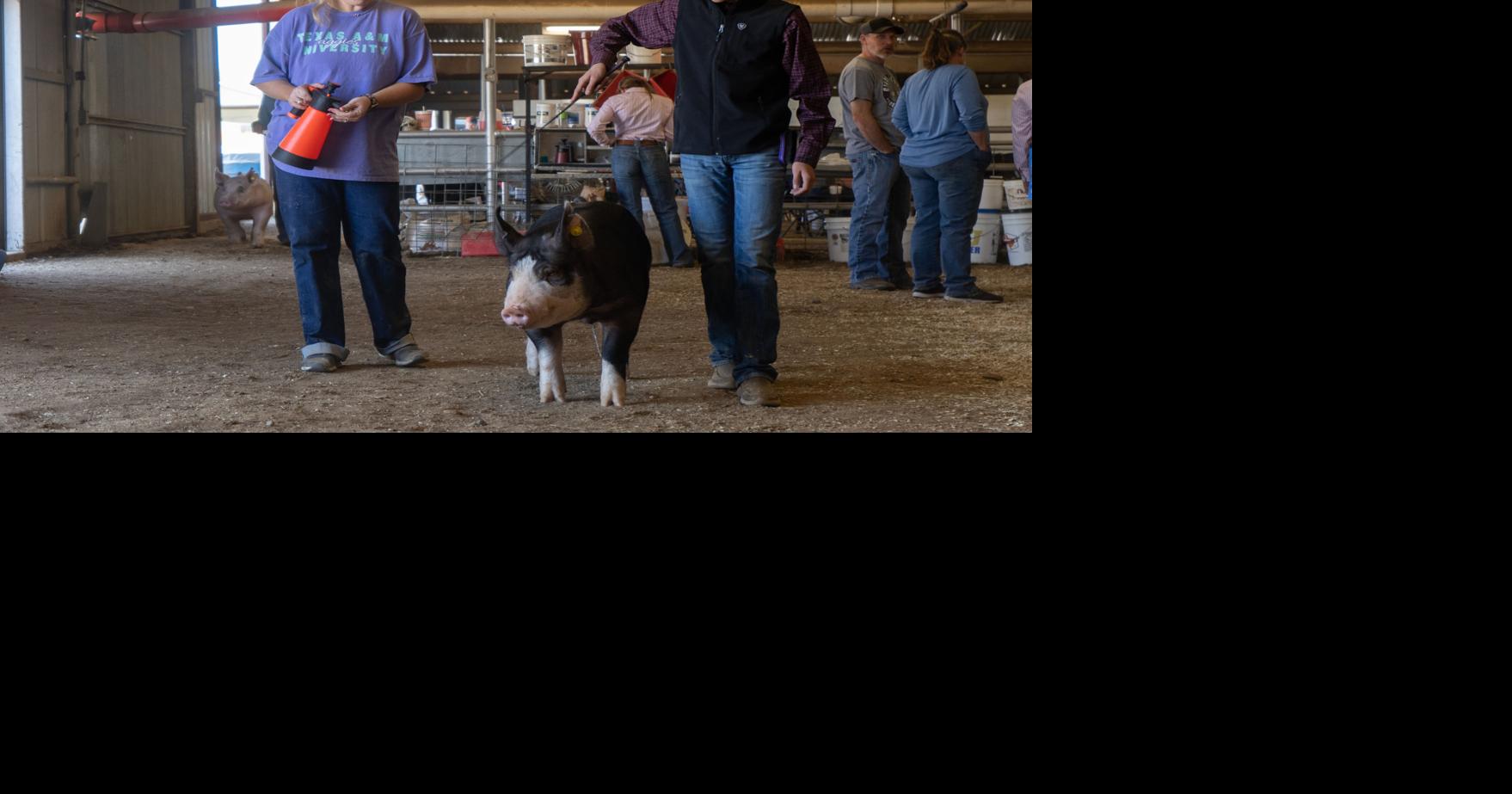 Denton County Youth Fair | Images | dentonrc.com