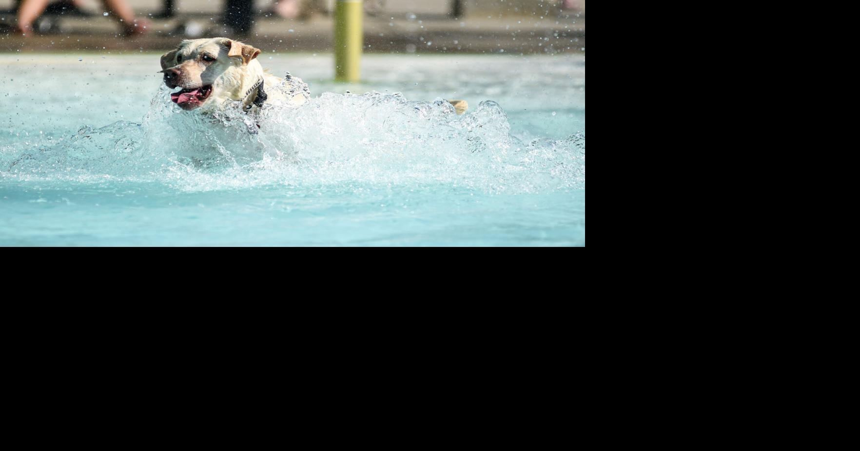 How to beat the Denton heat and stay safe this summer | Local News ...