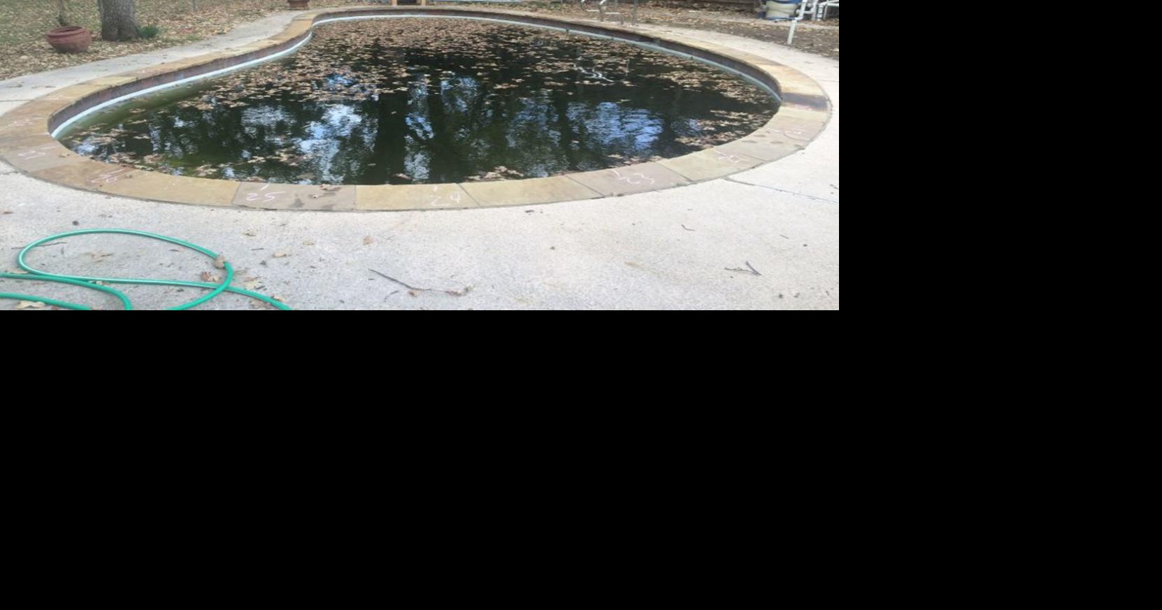 Insight Denton: Who do I call about my neighbor’s neglected swimming ...