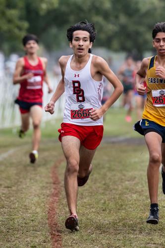 Braswell's Wingard becomes school's first state champion with 6A cross ...