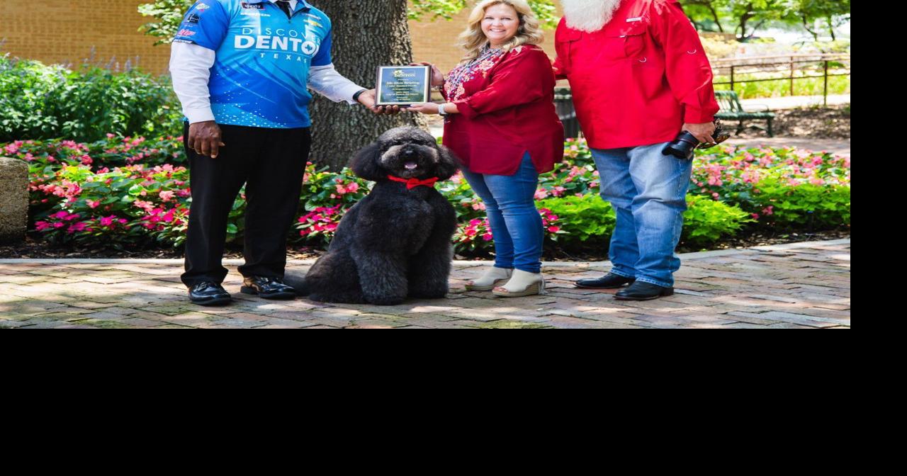 Dogs, a donkey and a parrot on the ballot: Denton is accepting ...