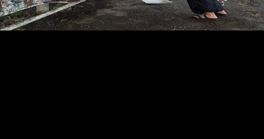 In living color: Denton artists join forces to start mural company ...