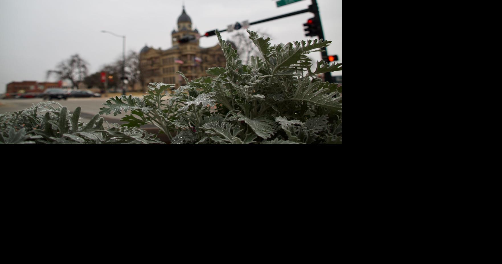 Mid-30s temperatures dash many Denton residents’ hopes for snow buildup ...
