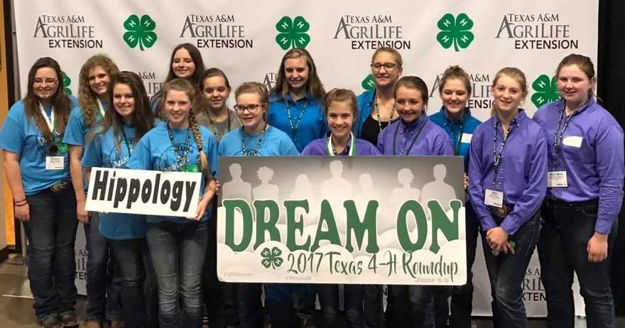Denton County youth bring home awards from 4-H Roundup | Life ...