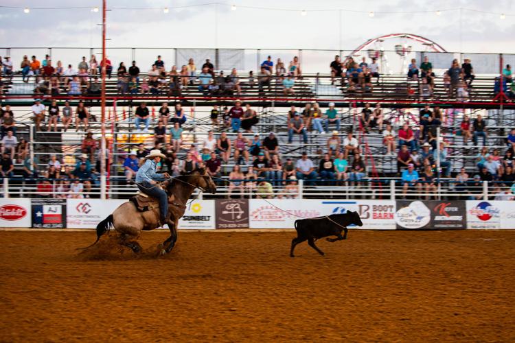 93rd North Texas Fair and Rodeo estimates new attendance record ...