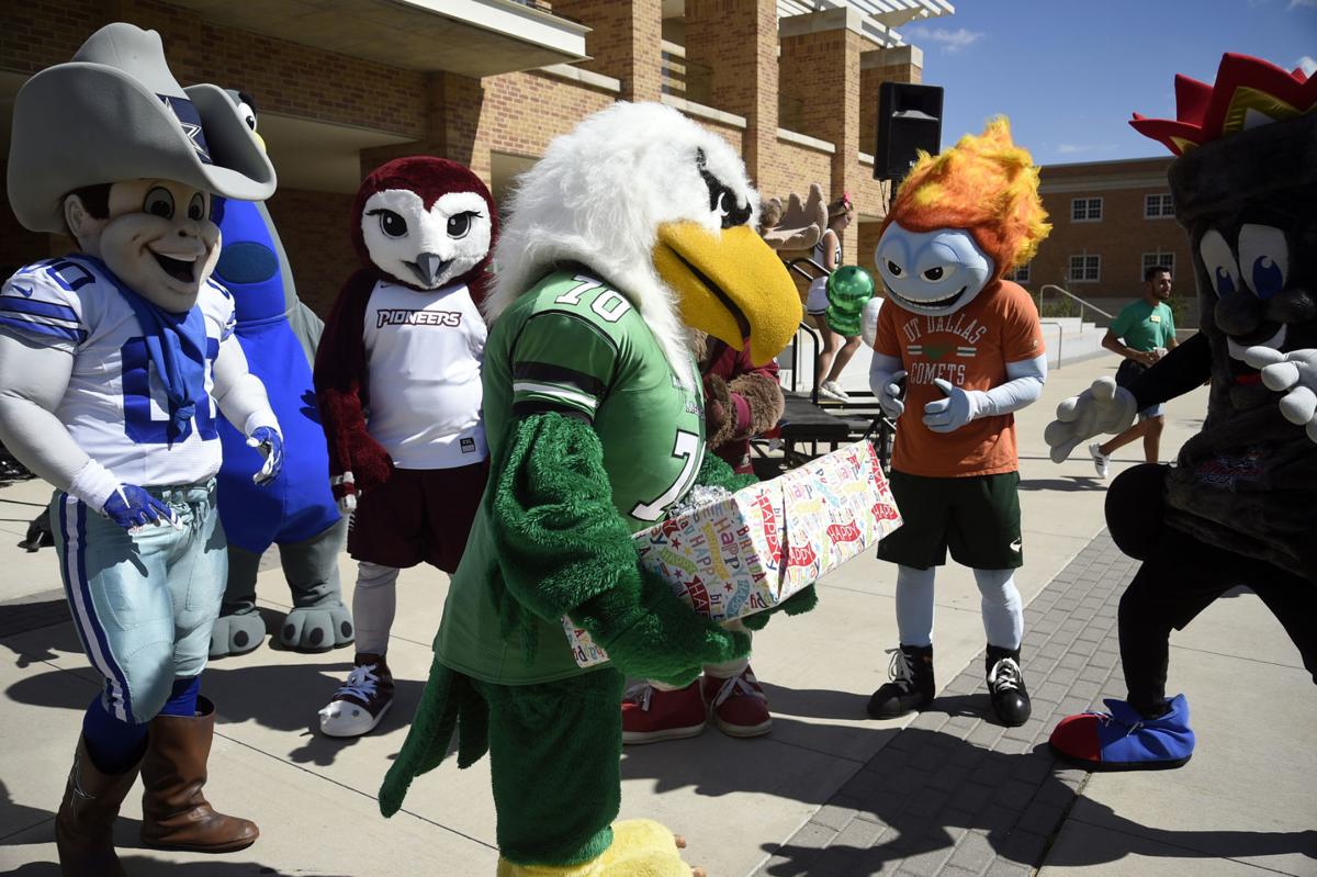 Scrappy gets his first birthday party | News | dentonrc.com