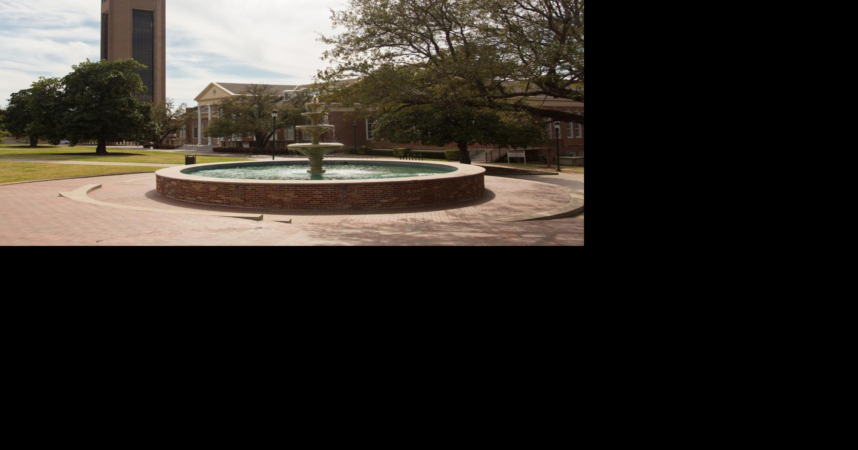 TWU appoints aviator, college dean to lead new aviation sciences school ...