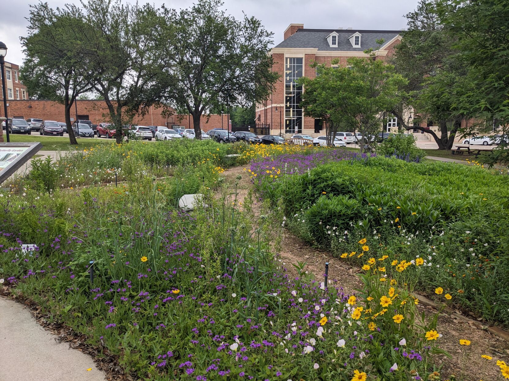 TWU's best campus locations for graduation photos include spring ...