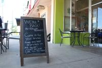 chestnut tree denton