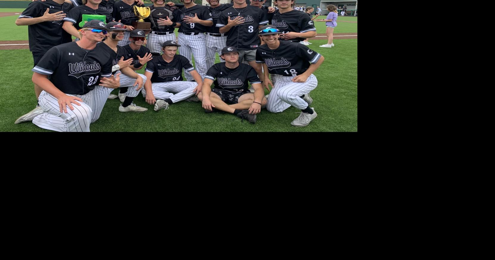 Guyer storms back from tough inning to advance to regional final with ...
