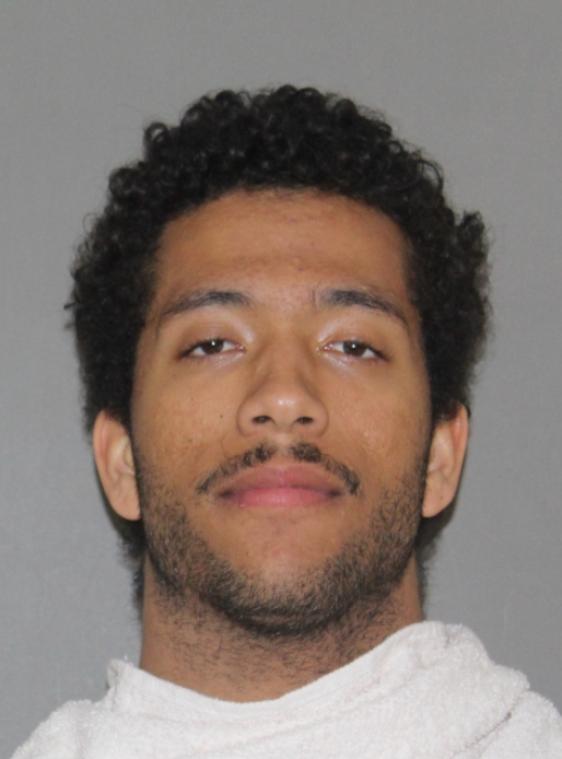 Affidavit alleges grandson broke into Mitchell home to stab Denton ...