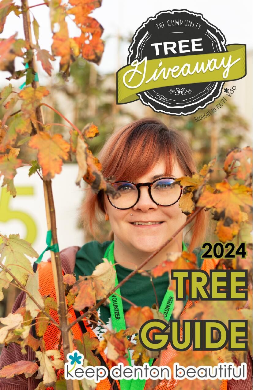 When, how and what to know about sign-ups for Denton’s annual free tree ...