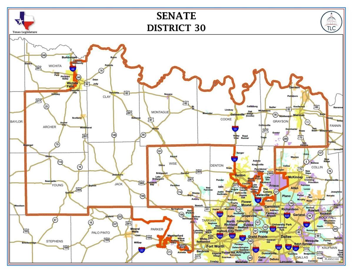 Denton County state Senate runoff creates strange bedfellows, divides ...