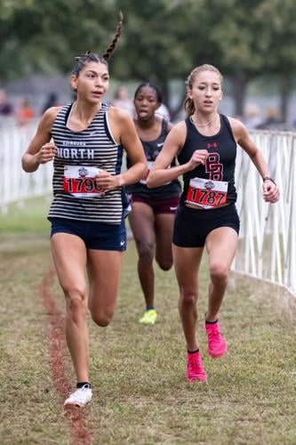 Braswell's Wingard becomes school's first state champion with 6A cross ...