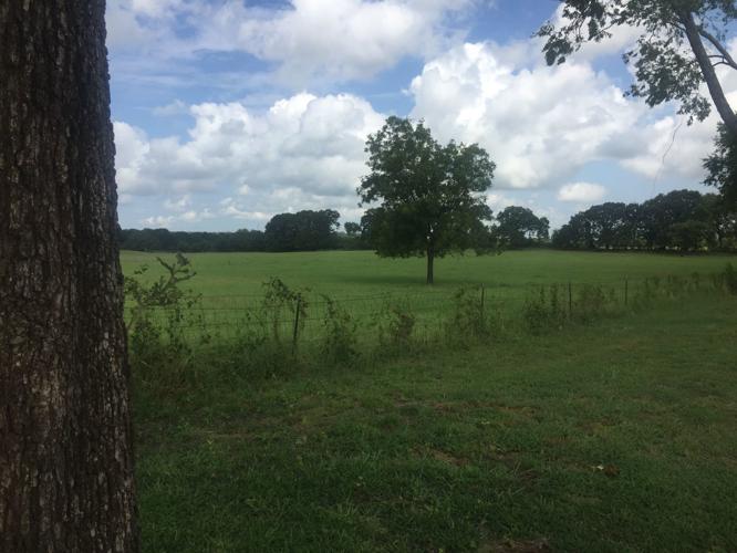 Landmarks & Legacies: Denton County's Poor Farm treated tenants kindly ...
