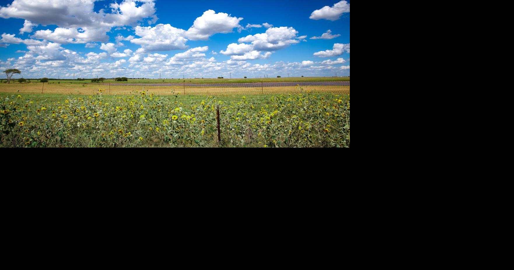 200 jobs, $265M in revenue: New solar farm expects local growth, clean ...