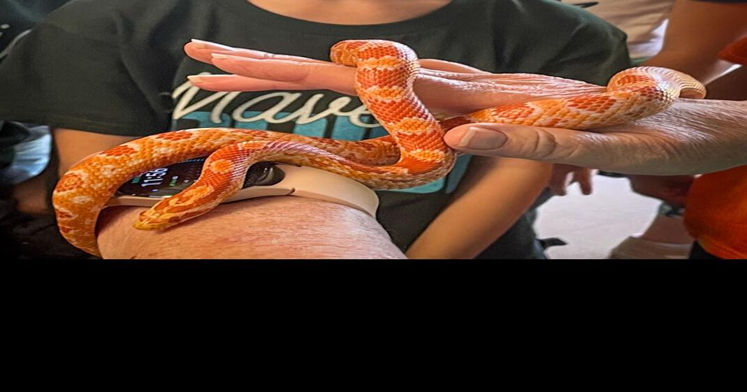 Into the wild at Clear Creek Natural Heritage Center with Hawk ...