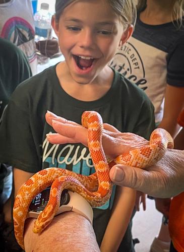 Into the wild at Clear Creek Natural Heritage Center with Hawk ...