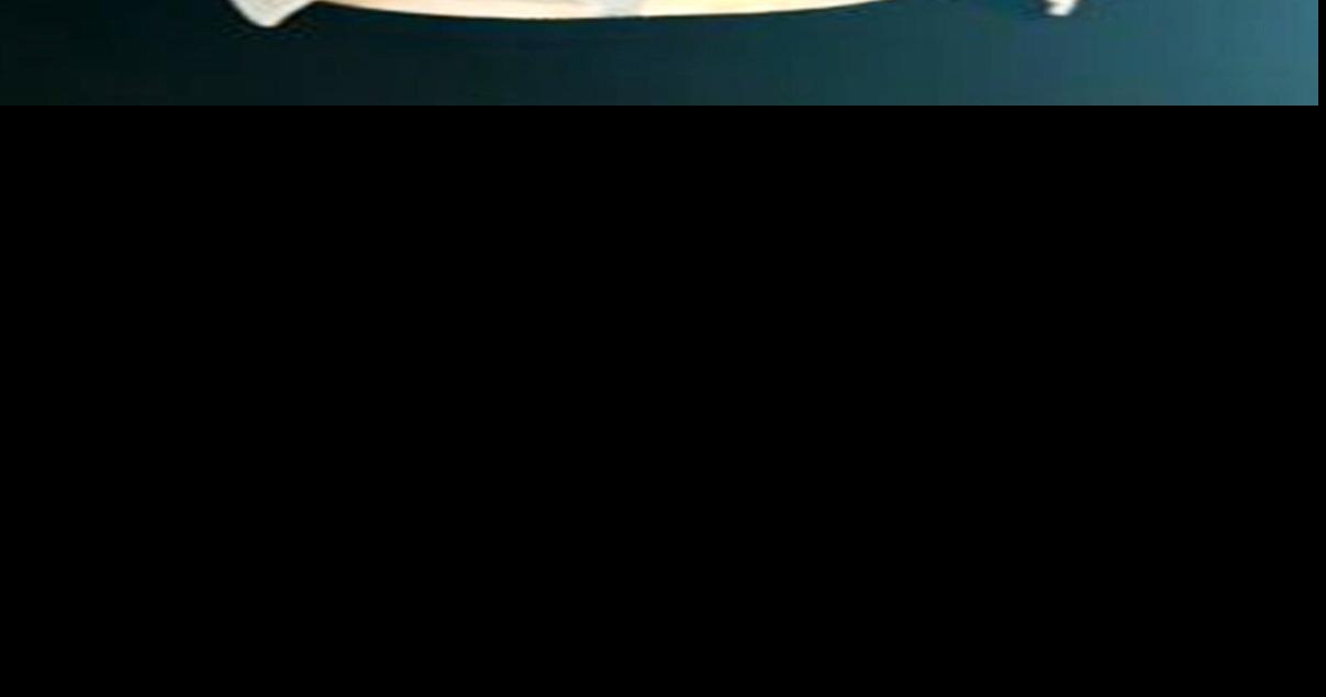 Political novice Brandon Gill seeks to be Trump’s biggest advocate in ...