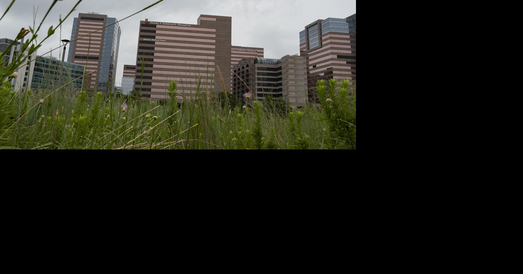 Texas Children’s Hospital’s detransition clinic to launch this year ...