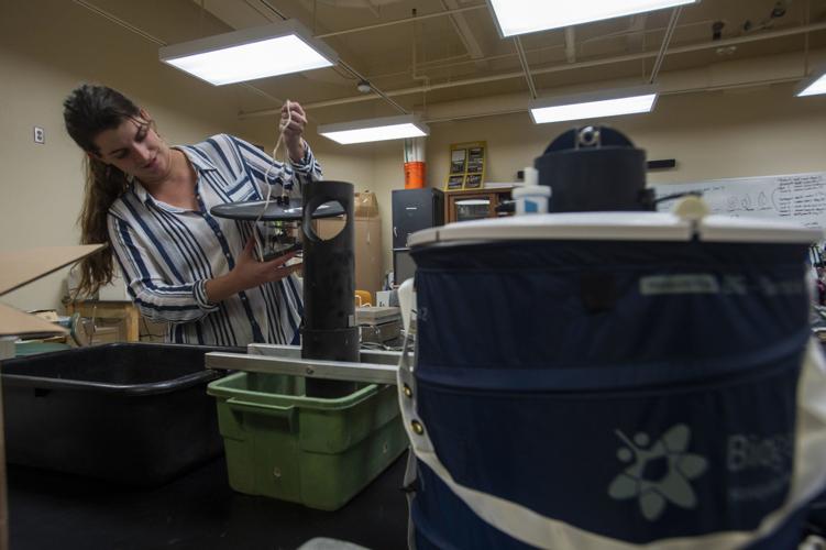 West Nile reporting delays hinder real-time forecasting of the disease ...