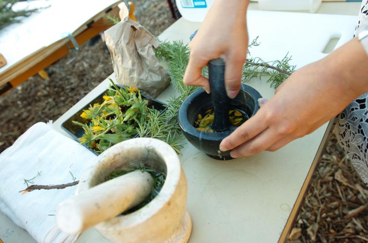 We Mean Green: A look at UNT’s conservation efforts | Denton U ...