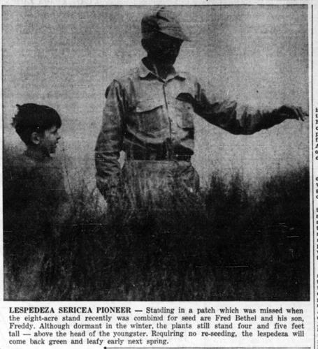 Yesteryear: How Denton folks celebrated New Year’s Eve 1976, and a ...