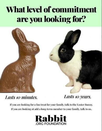 why rabbit for easter