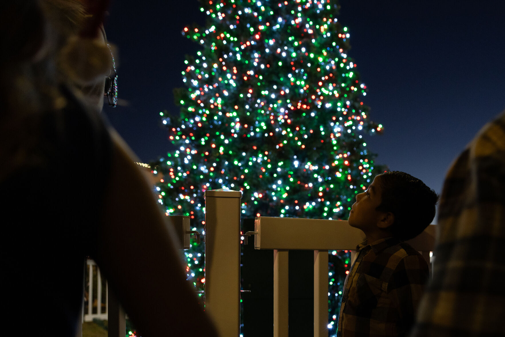 Denton Holiday Lighting Festival bringing back Holly Jolly Trolley for ...