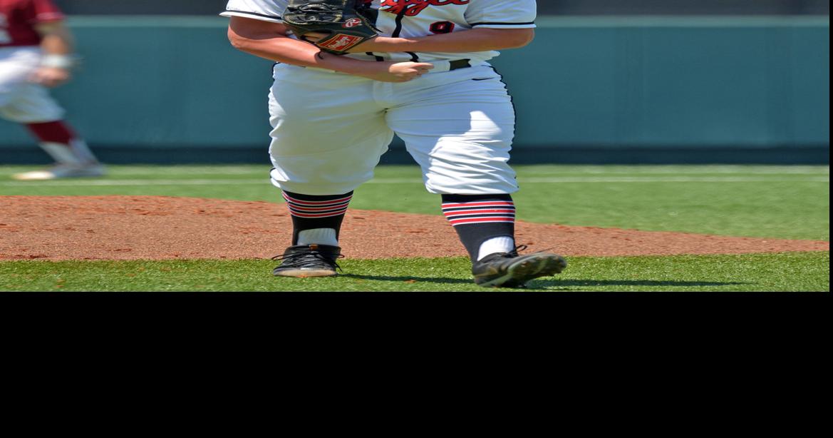 Baseball: Ricker leads No. 1 Argyle into one-game playoff against Iowa ...