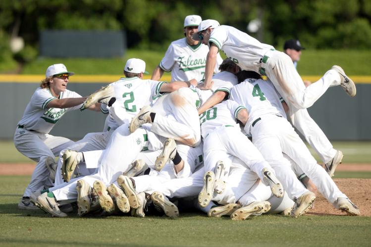 Baseball: Denton-area teams hope for chance to finish a season that ...