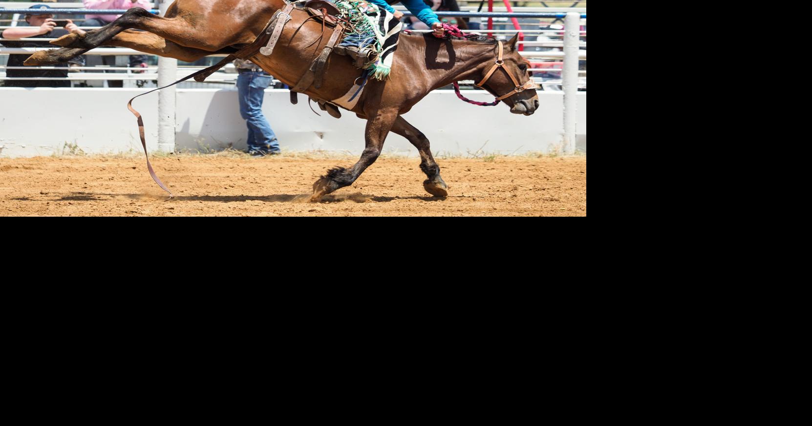 Cowboys, cowgirls, drag queens saddle up for gay rodeo | News ...