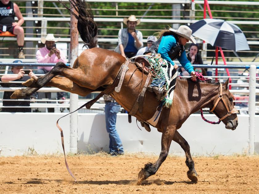 Cowboys, cowgirls, drag queens saddle up for gay rodeo | News ...