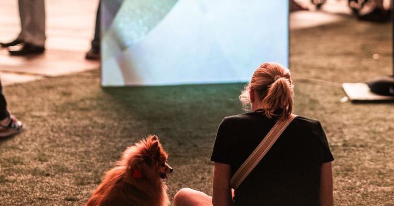 Festival-style Video Art Night coming to Denton in March | Visual Arts ...