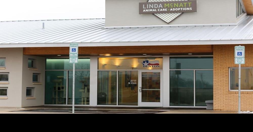 How you can help Denton’s animal shelter ease its overcrowding problem ...