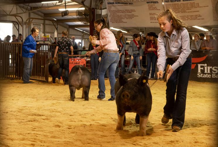 Denton County Youth Fair | Images | dentonrc.com