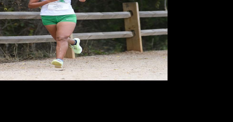 Running to a dream: UNT cross country runner left Eritrea behind for a ...