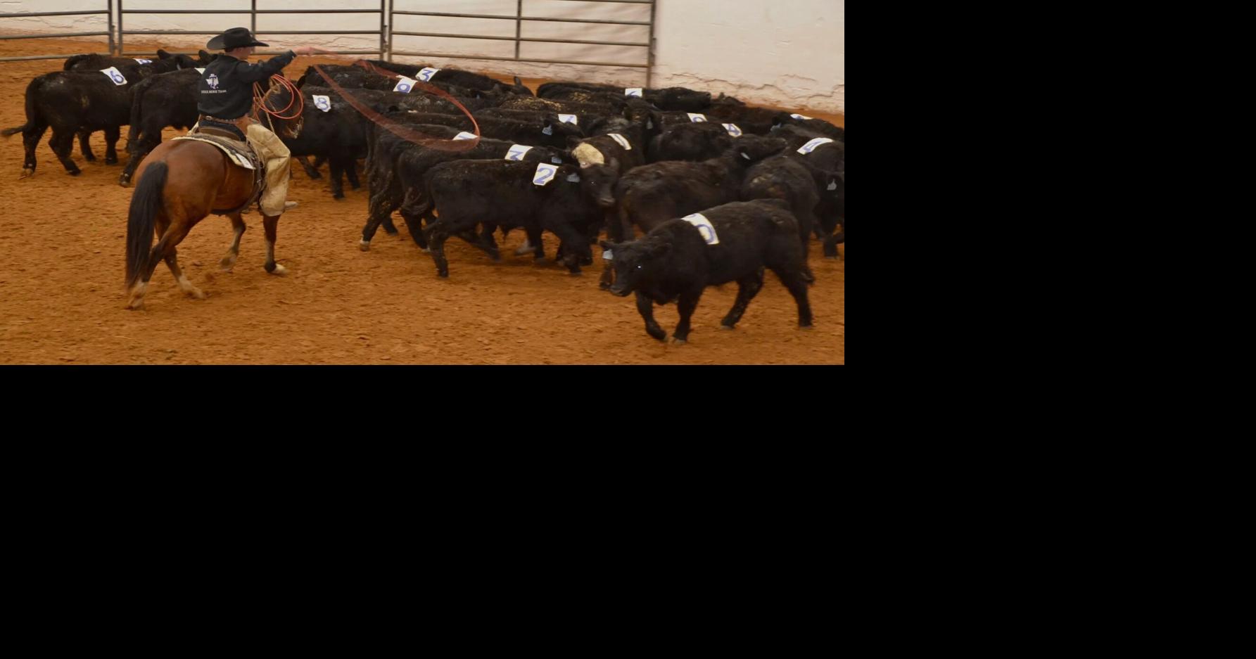 Young people embrace the ranching lifestyle. It’s known as the ...