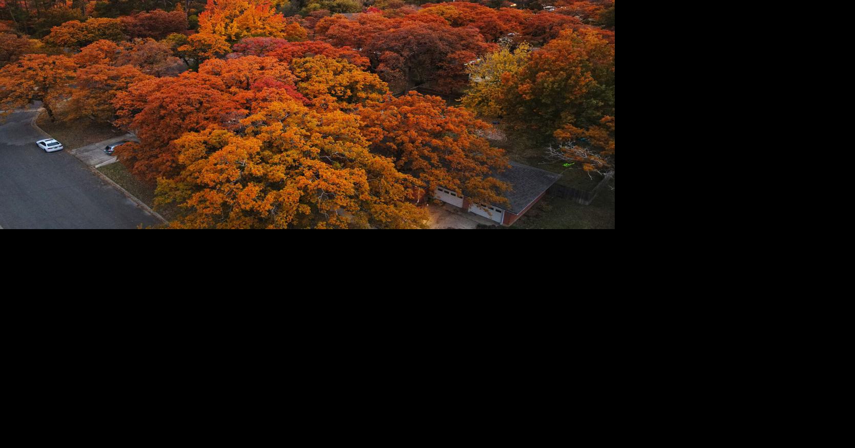 Fall shopping and dining guide: Get in the spirit with these Denton ...