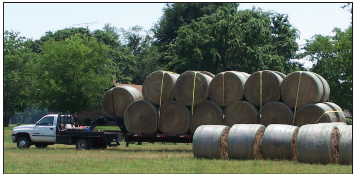 Zach Davis: Transporting hay in Texas requires a permit | Life ...