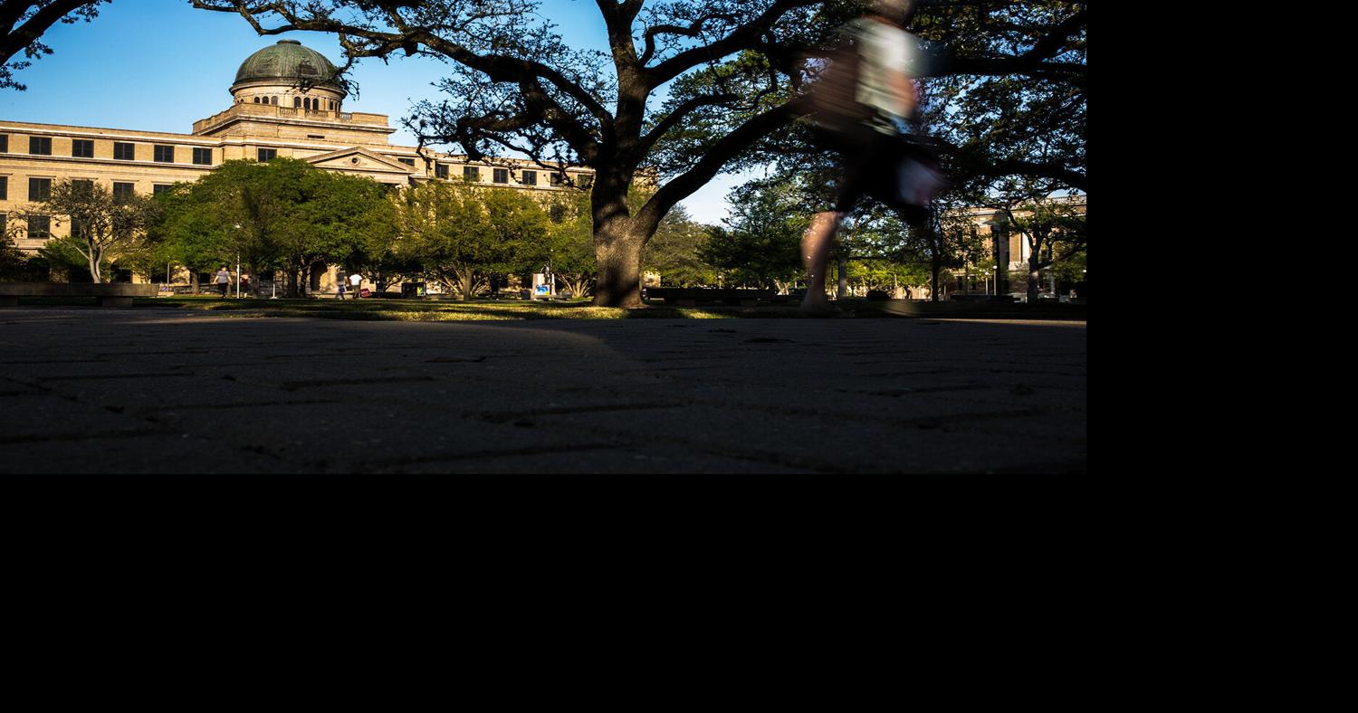Texas Senate approves bill that would ban diversity programs in public ...