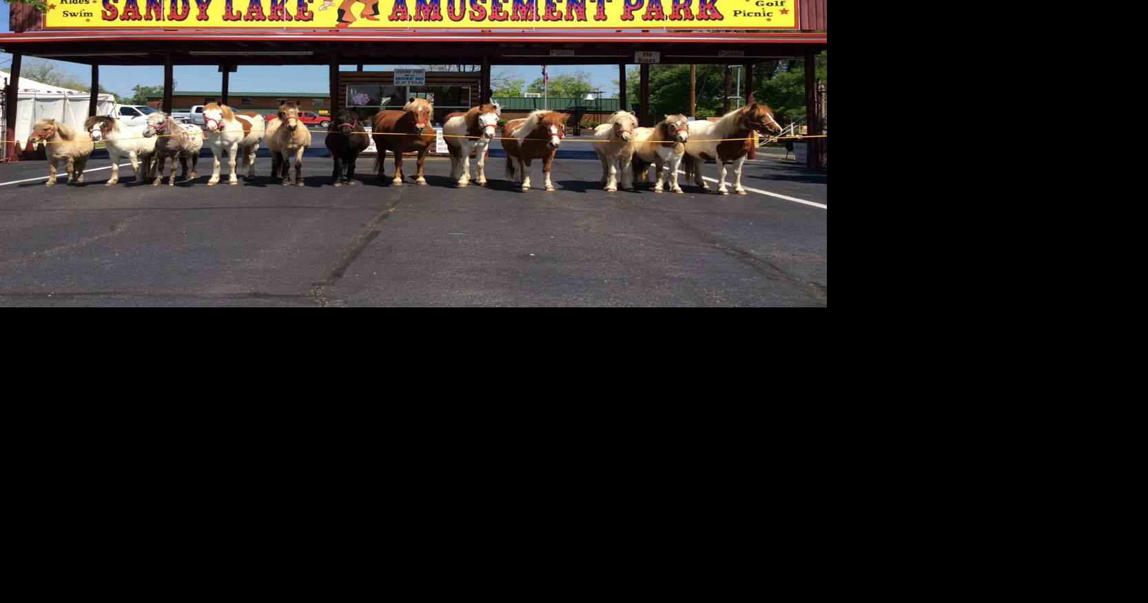 Sandy Lake Amusement Park closes gates after 48 years | News | dentonrc.com