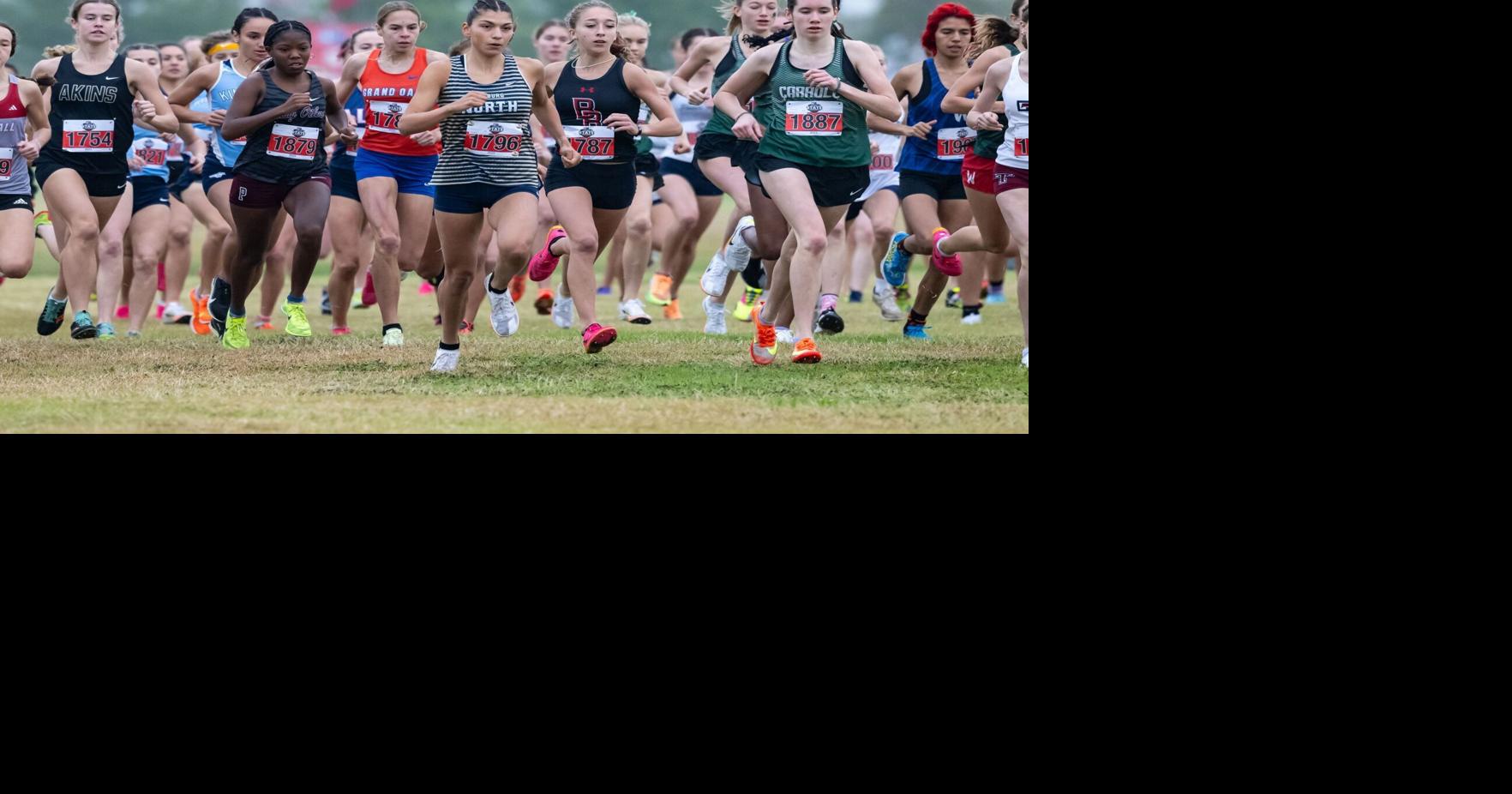 Braswell's Wingard becomes school's first state champion with 6A cross ...