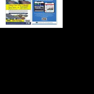 Page A11 | e-Edition | dentonrc.com