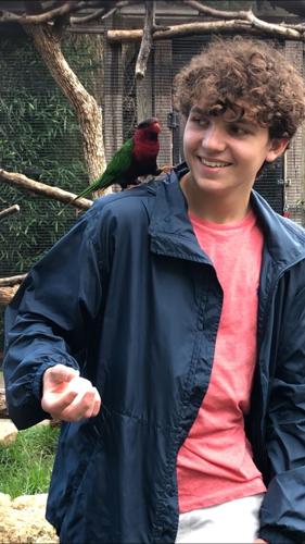 Logan Pittman | Past Profiles | derbyinformer.com