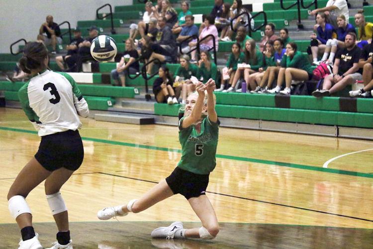 Panthers using experience and height as an advantage in 2023 | Fall ...