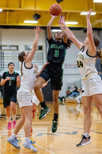 PHOTOS: DHS Lady Panthers vs Campus Colt 13 Jan 26 | Sports ...