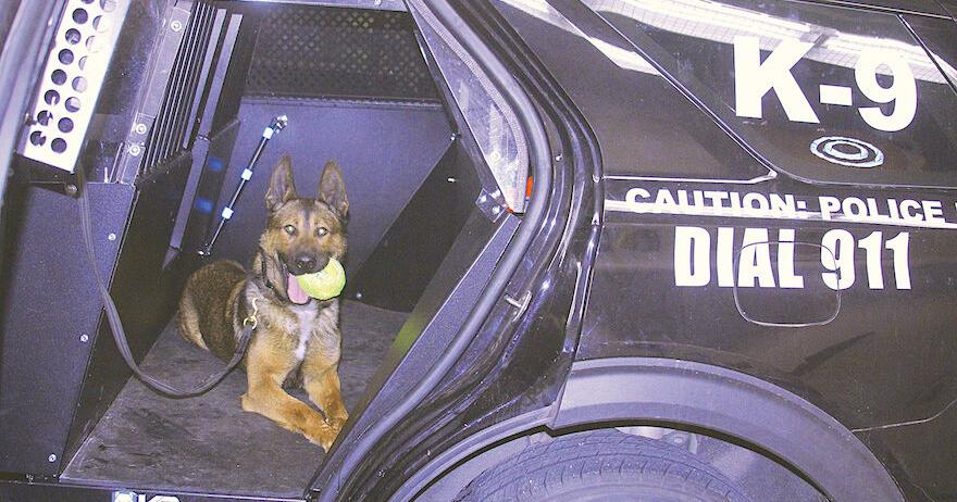 K9 unit, more changes on the horizon for Derby PD | Derby News ...