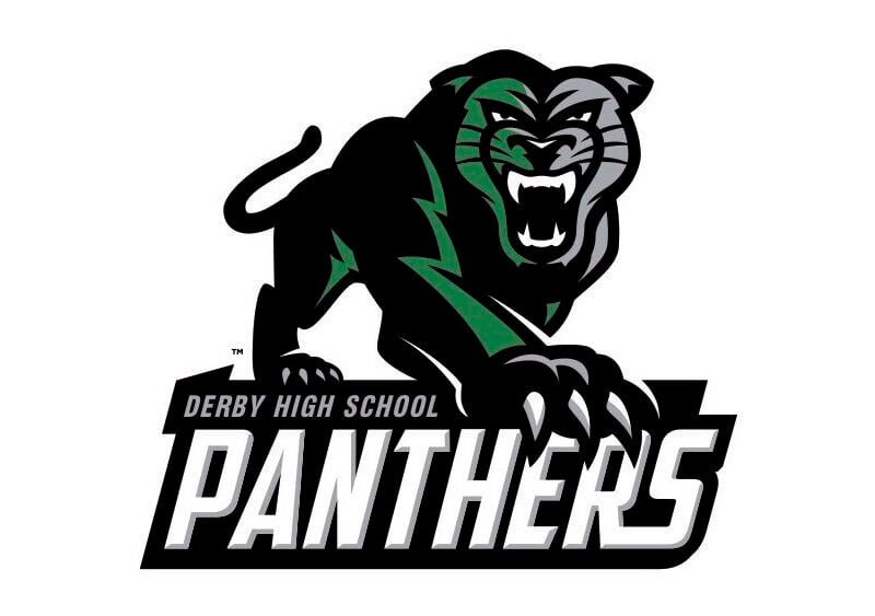 DHS Athletic Hall of Fame class announced | Derby Sports | derbyinformer.com