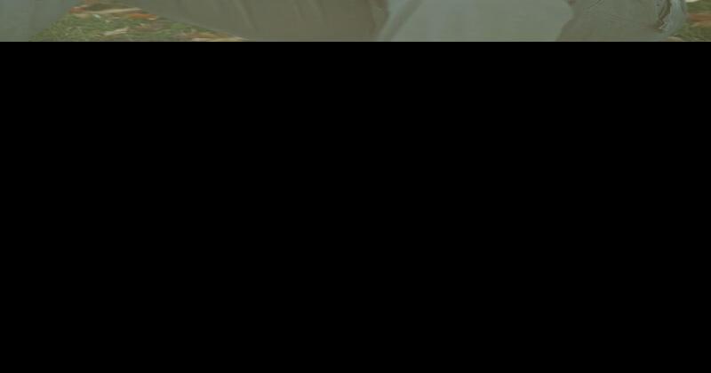 Addy Brown | Past Profiles | derbyinformer.com